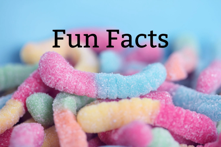 Fun Facts – Looking for the Light