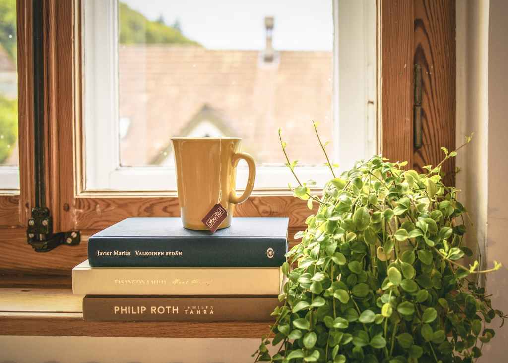 Simple Ways To Improve Your Mental Health At Home – Looking for the Light