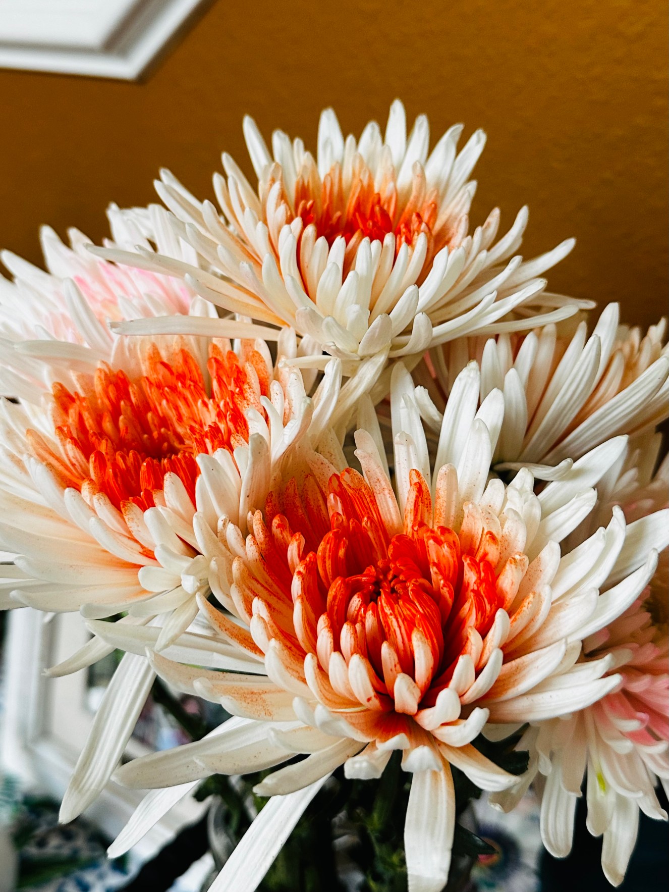 June Awareness Months