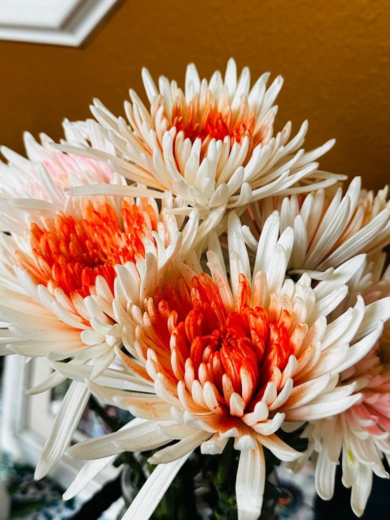 13 Examples of Narcotic Drugs and Medications