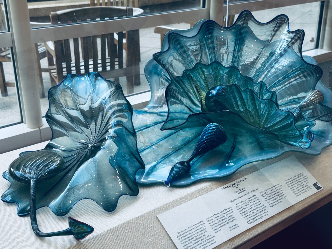 Once unwanted, these dogs are now on the front lines of wildlife ...