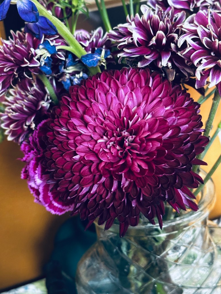 New advanced screening tests for tick-borne diseases in dogs